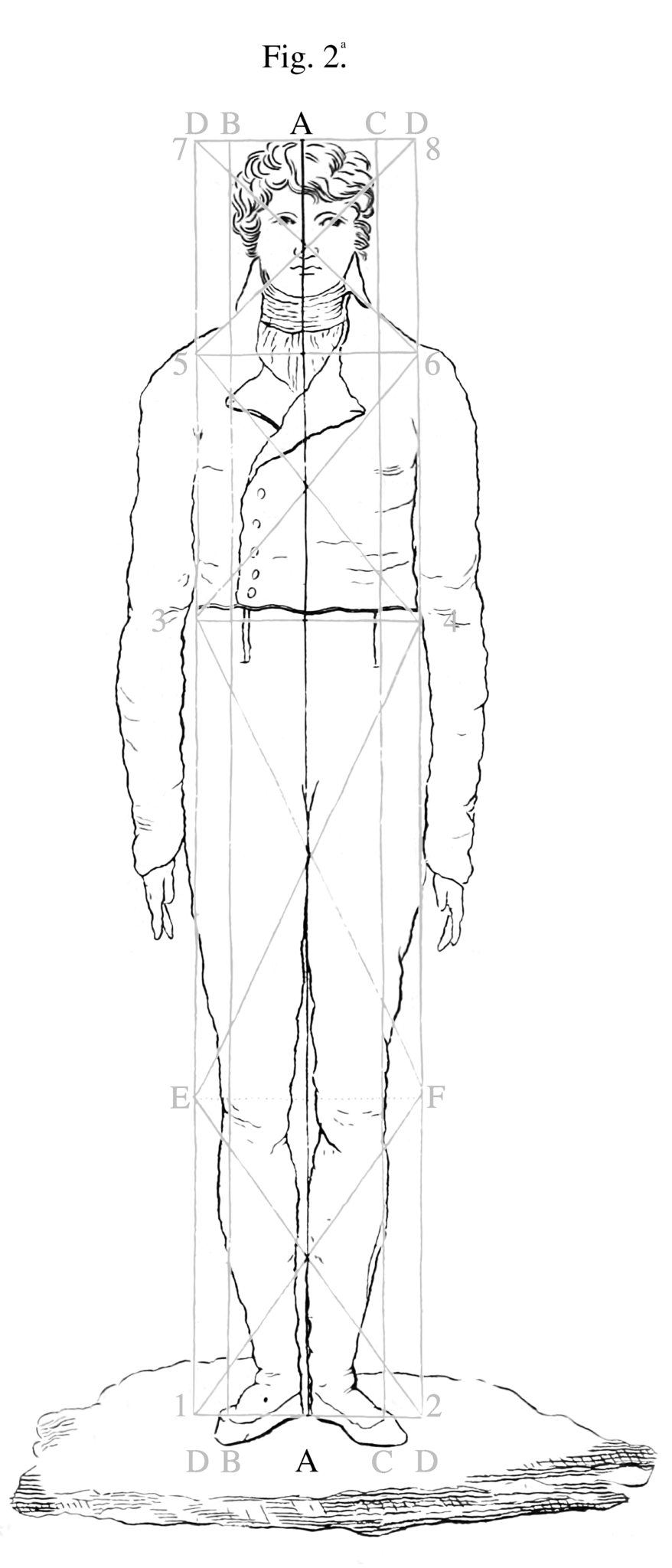 Part 1 – Chapter 2: Arrangement of the Body and Its Division into ...